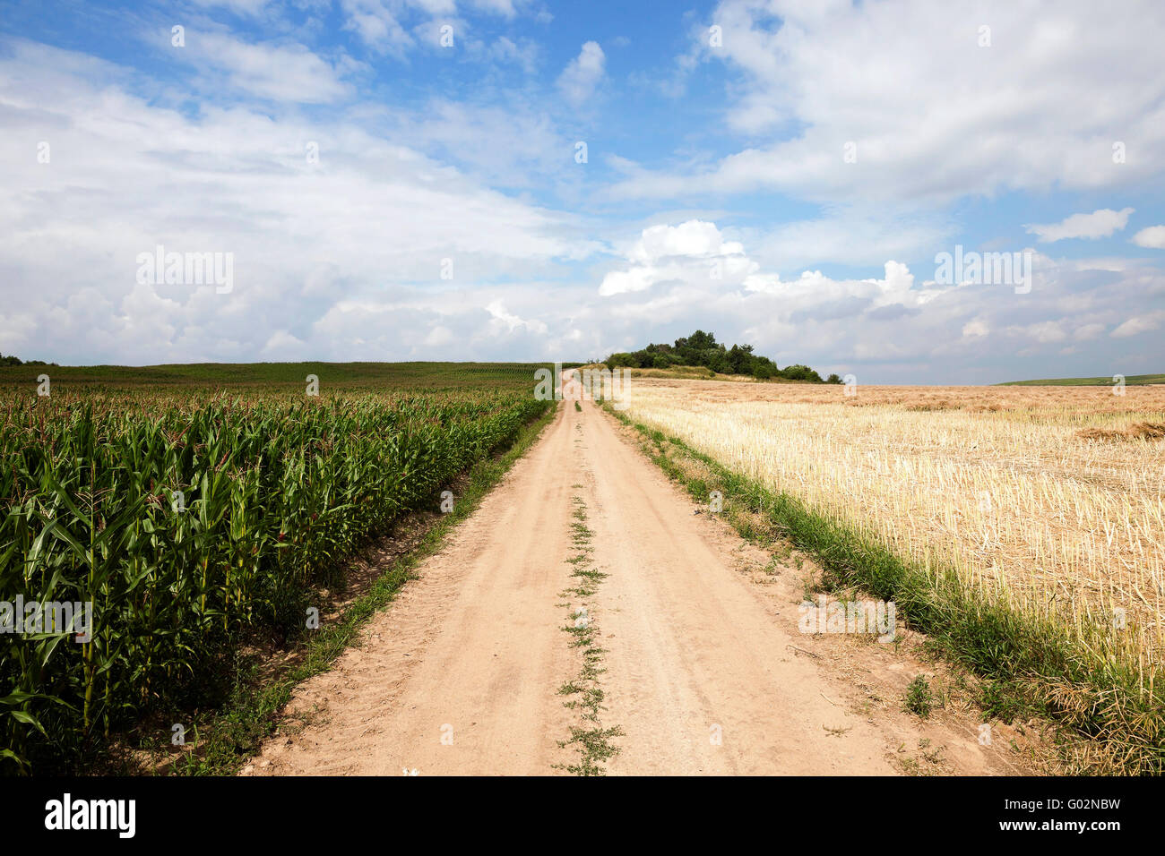 road in a field Stock Photo - Alamy