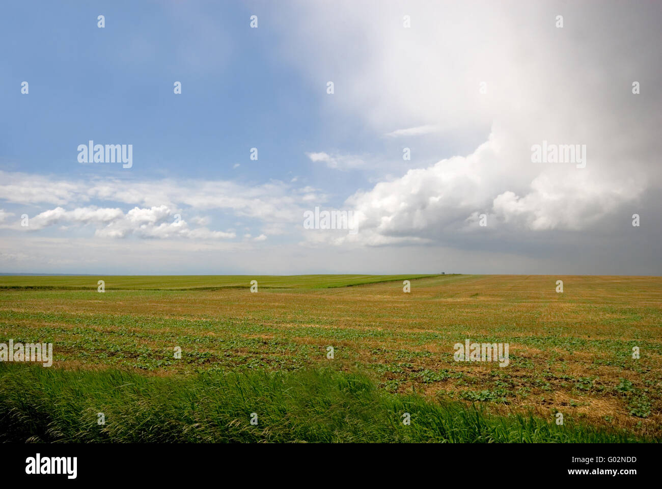Storm on the Prairies Stock Photo - Alamy