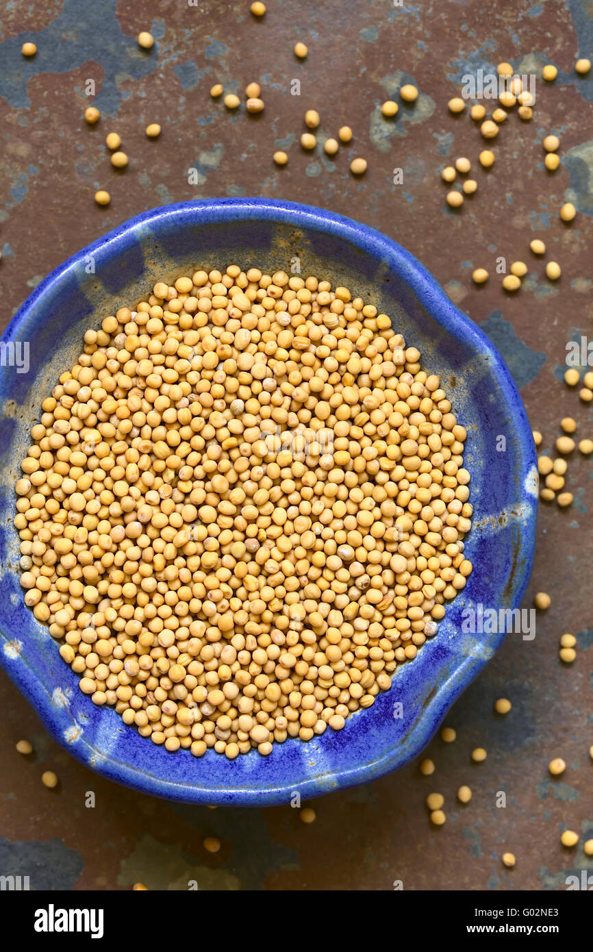 Yellow mustard seeds in small bowl, photographed overhead on slate with ...