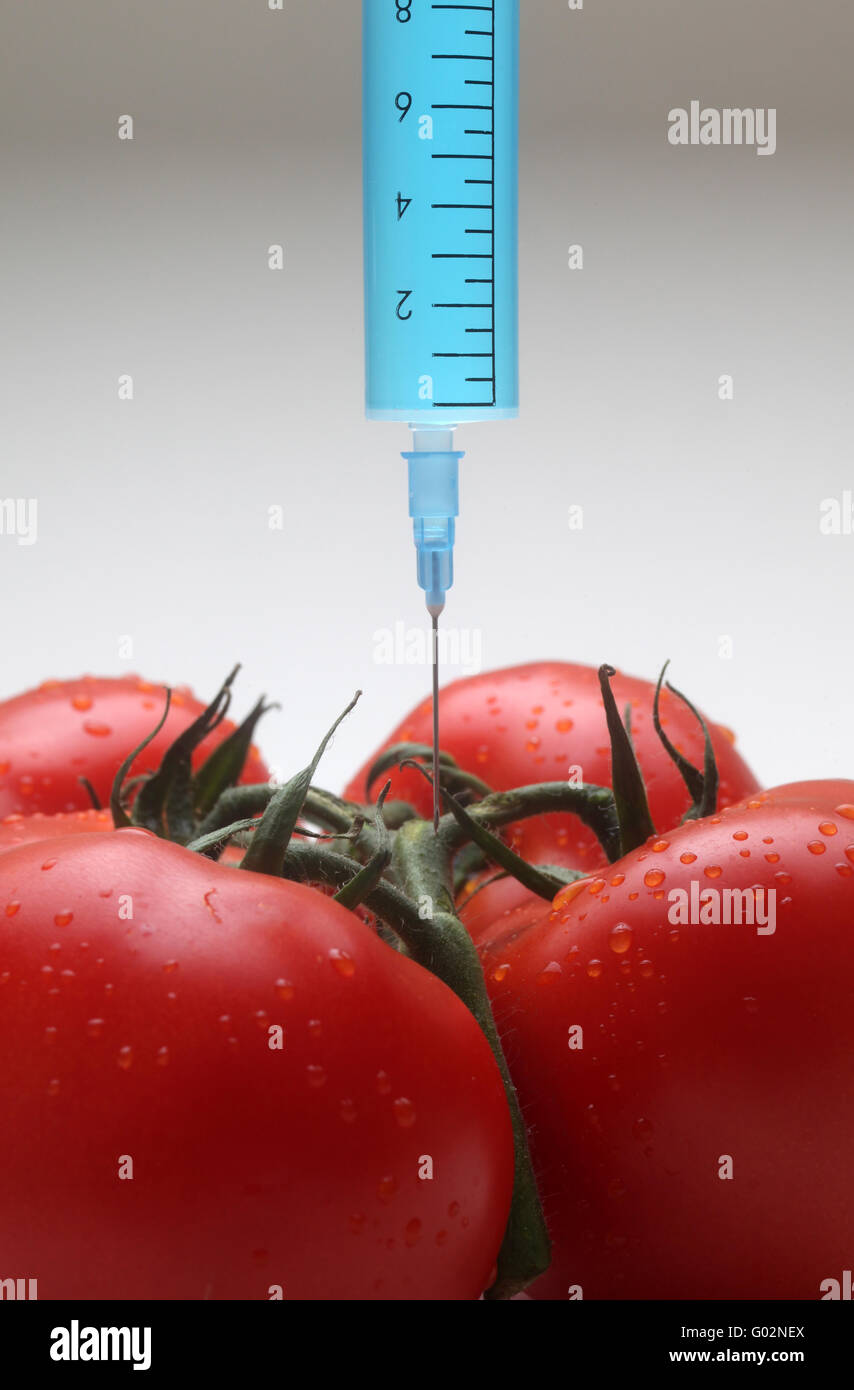 Injection into fresh red tomato Stock Photo - Alamy