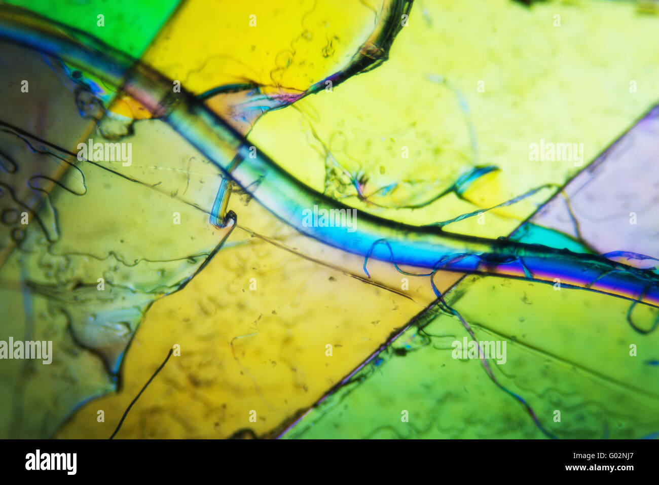 Light Image: photomicrograph of translucent structures in polarized ...