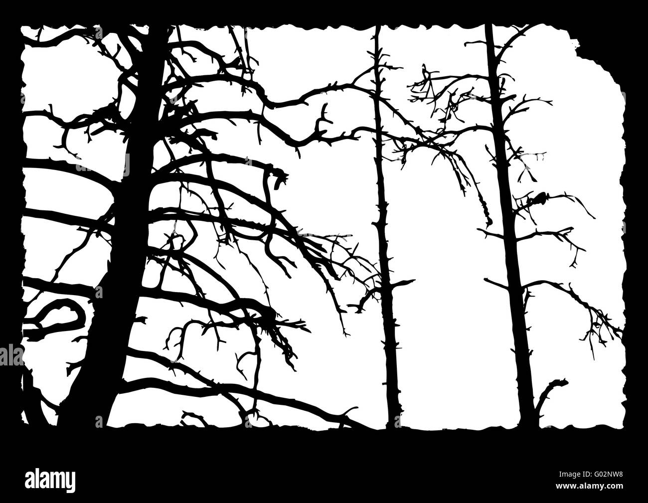 vector drawing old tree on torn sheet of paper Stock Photo - Alamy