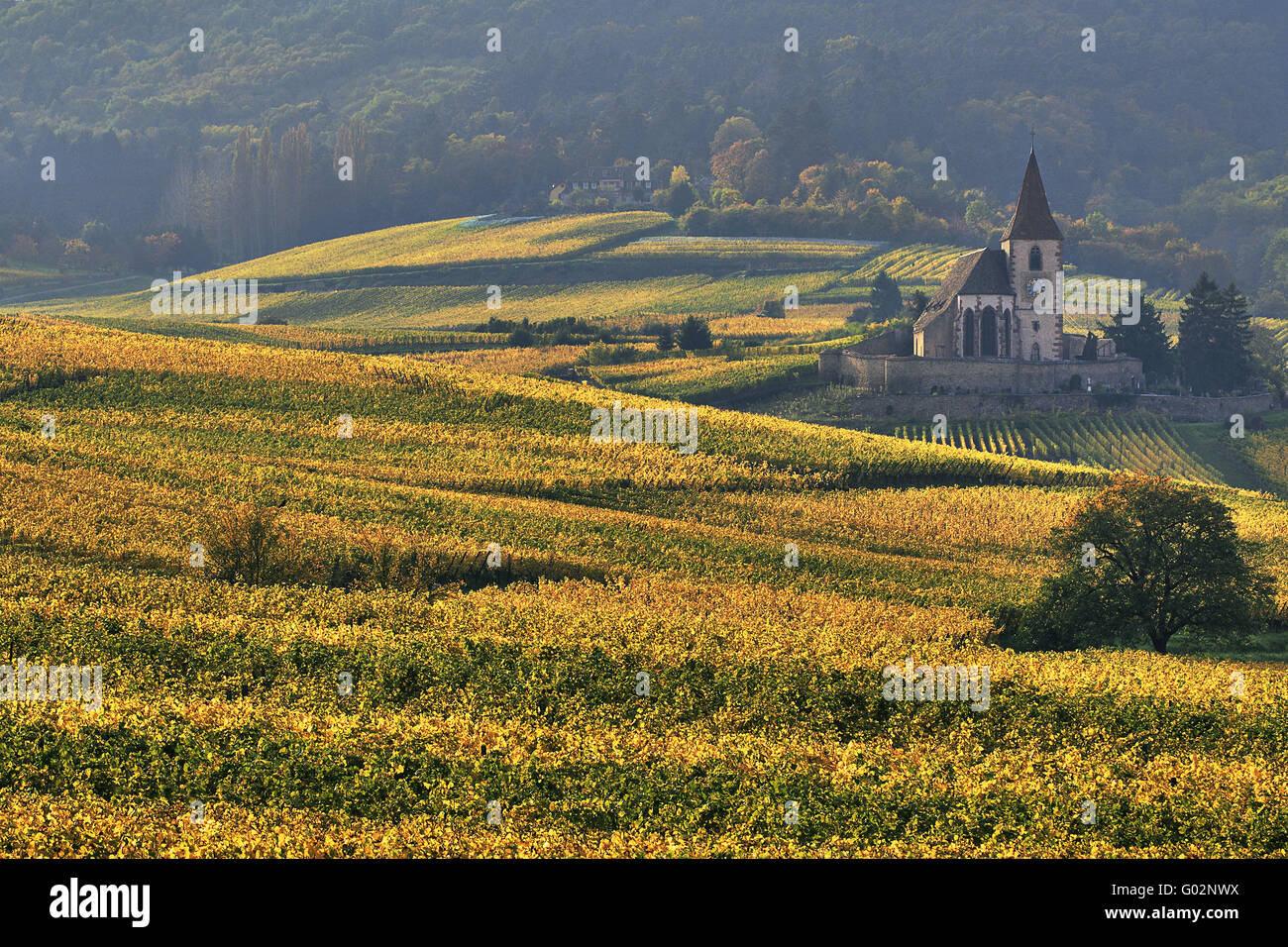Symbole alsace hi-res stock photography and images - Alamy