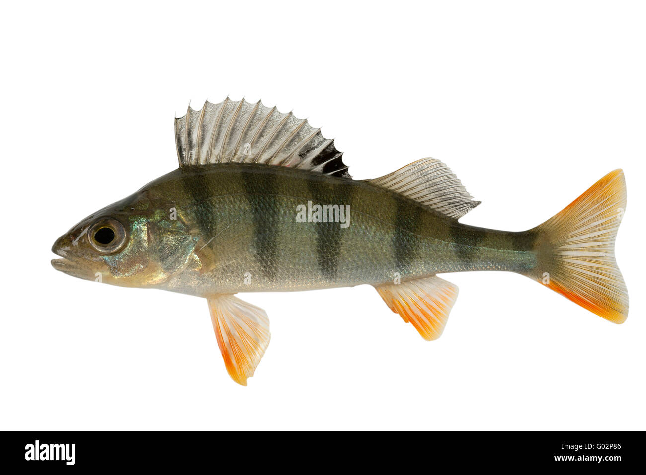 Recreational objects hi-res stock photography and images - Alamy