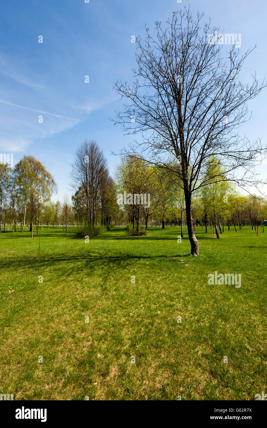 spring season Photo Stock Photo - Alamy
