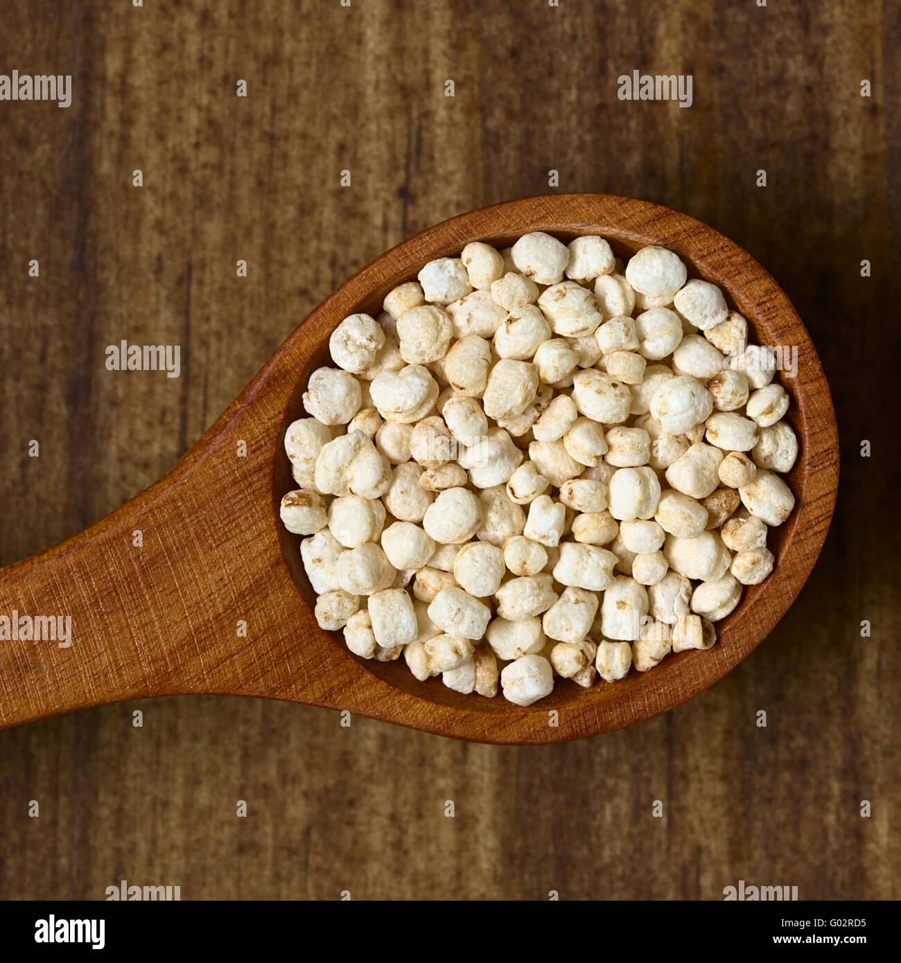 Popped white quinoa (lat. Chenopodium quinoa) cereal on small spoon ...