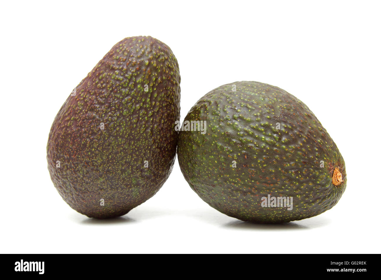 Two avocados isolated Stock Photo - Alamy