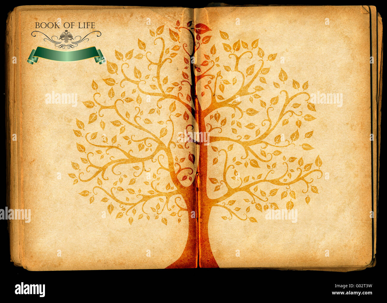 book with tree of life Stock Photo - Alamy
