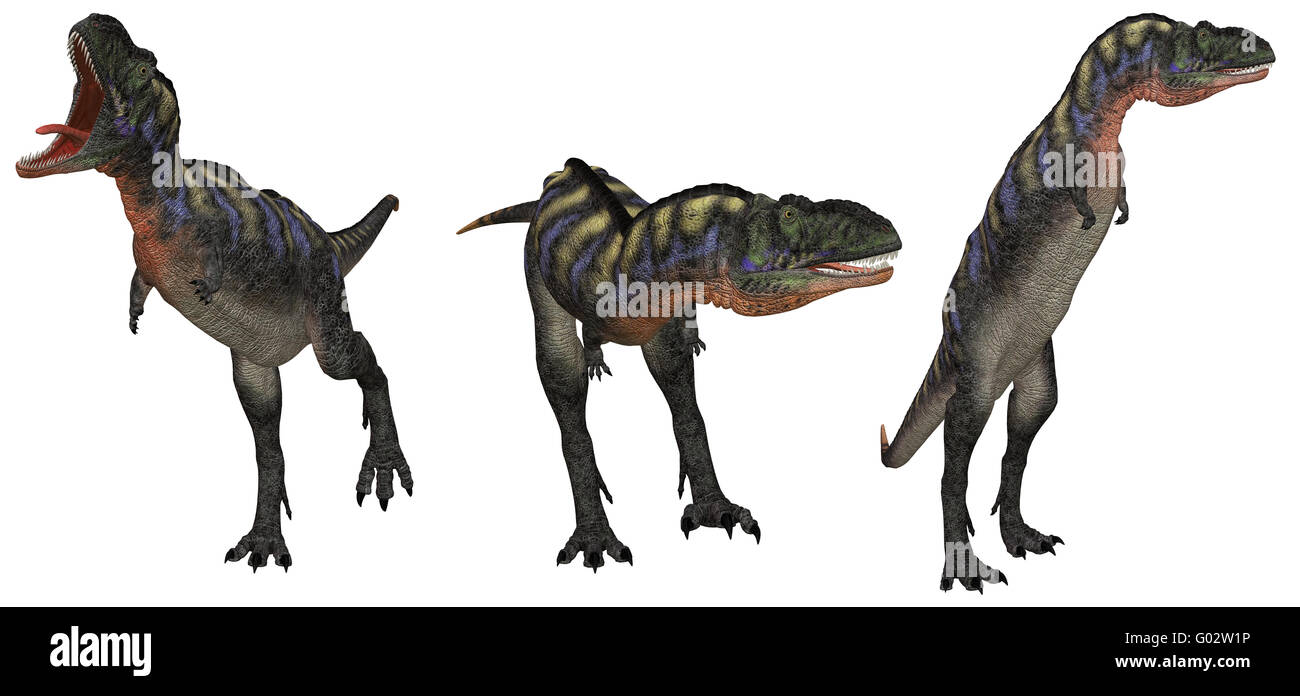 Aucasaurus Dinosaurs from Argentina Stock Photo - Alamy