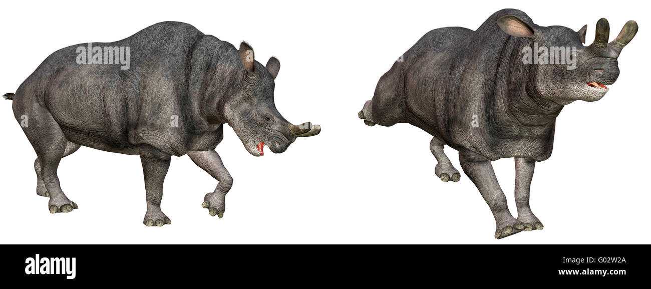 Brontotherium hi-res stock photography and images - Alamy