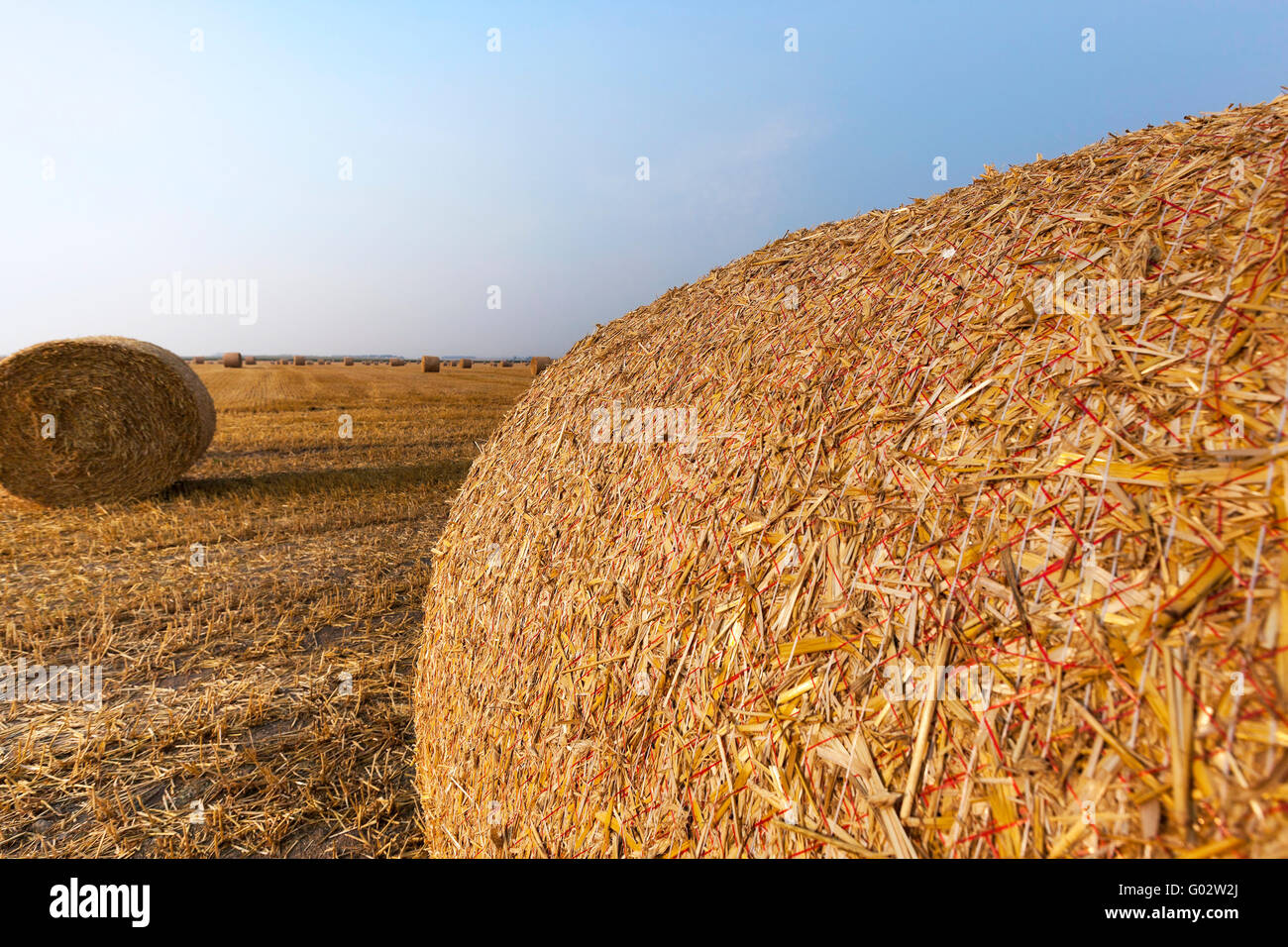 stack of straw in the field Stock Photo - Alamy