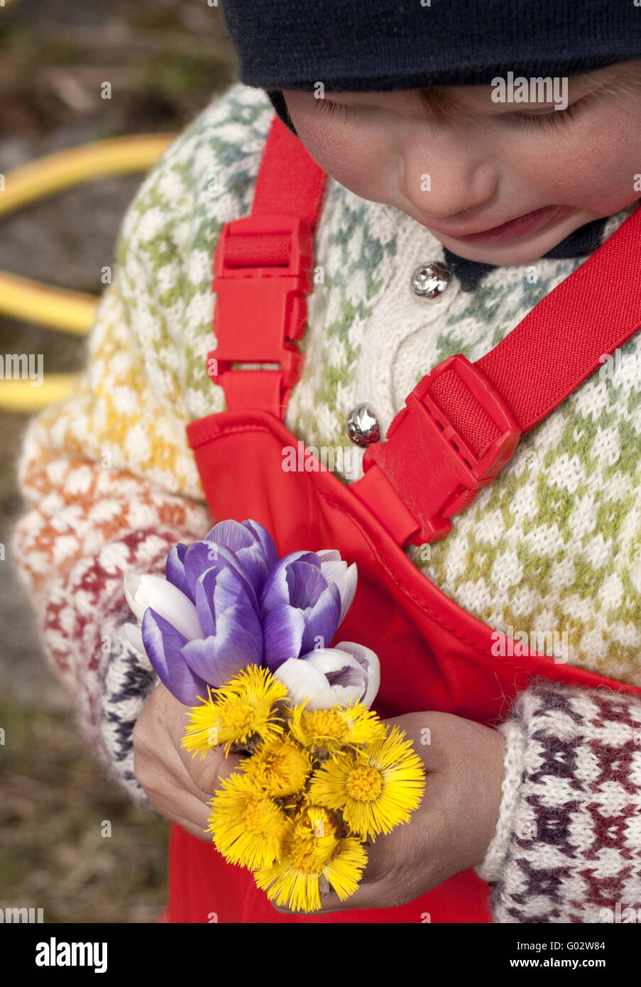 First flowers of spring Stock Photo - Alamy