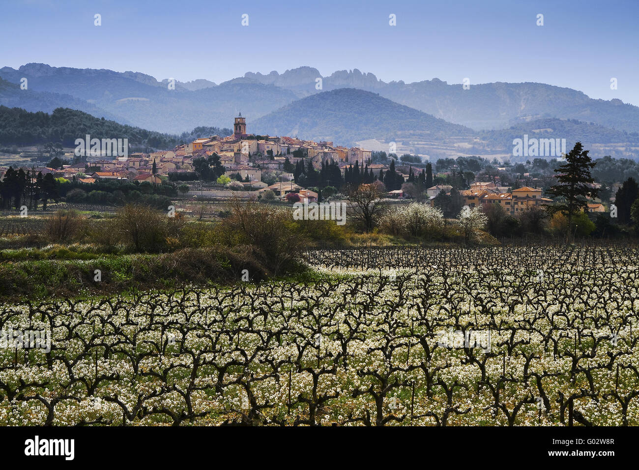 vineyards and the village of Sablet, Provence Stock Photo - Alamy