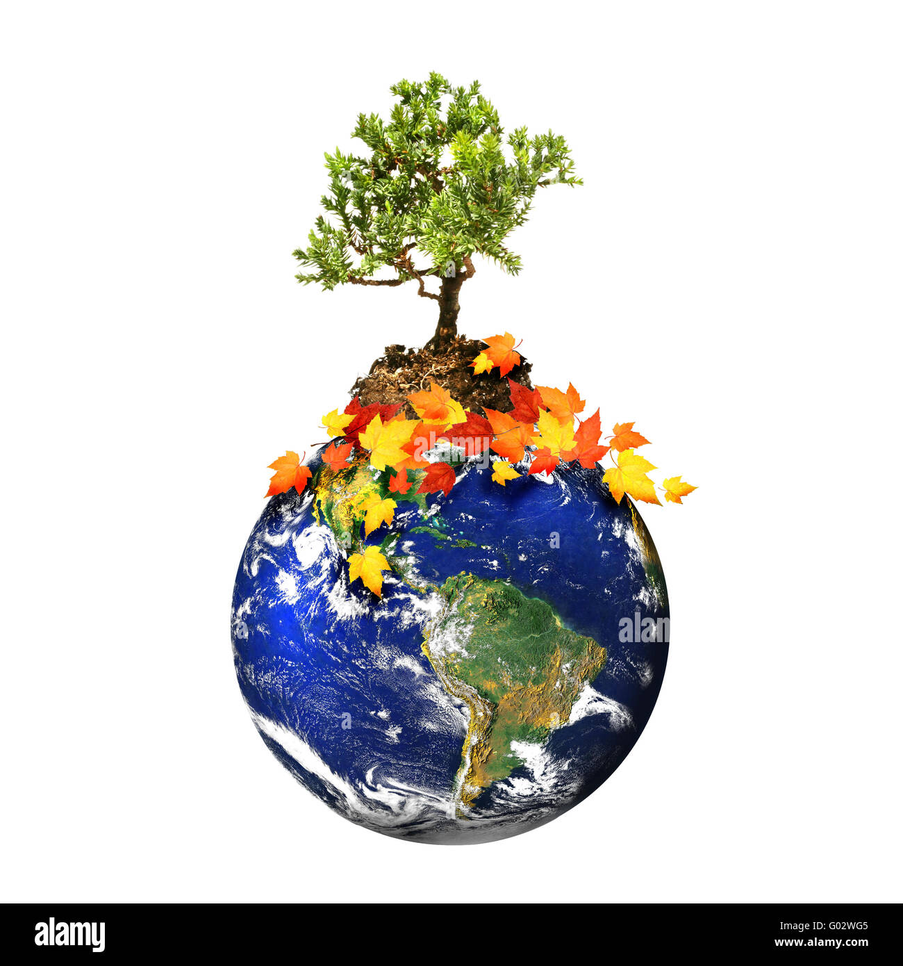 Earth with a tree isolated over a white background Stock Photo - Alamy