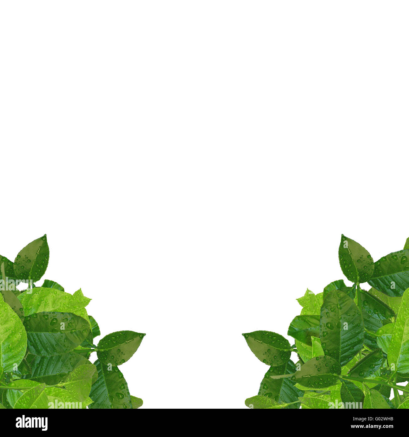 Green corner hi-res stock photography and images - Alamy