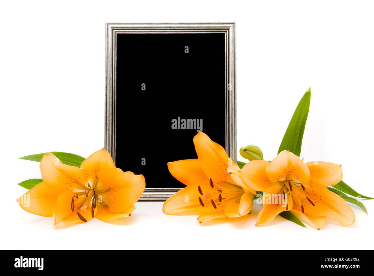 Yellow lilies and silver frame on a white background Stock Photo - Alamy