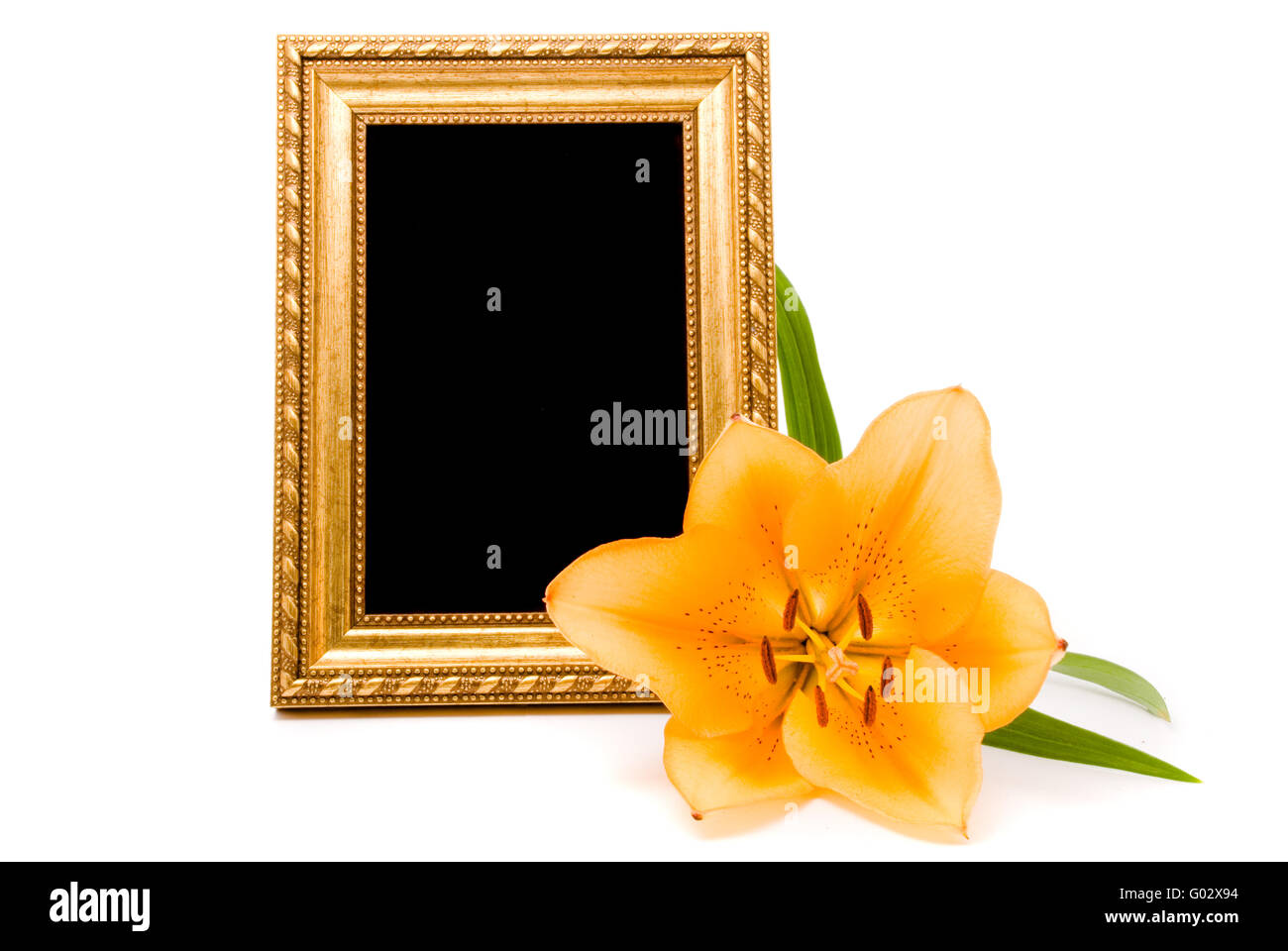 Yellow lily and gold frame on a white background Stock Photo - Alamy