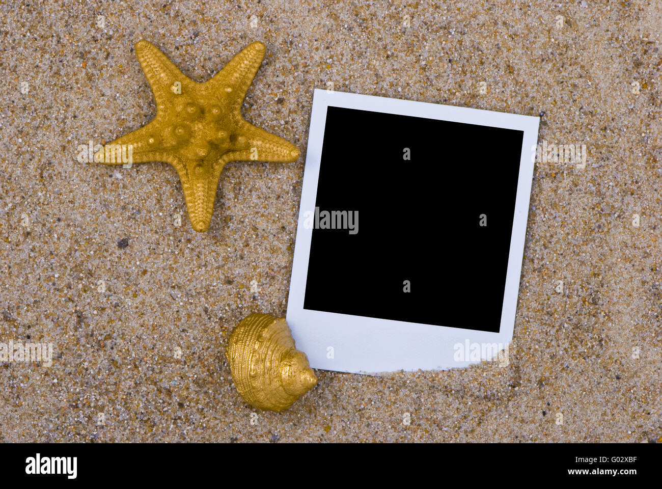Photo frame with golden sea shells on sand background Stock Photo - Alamy