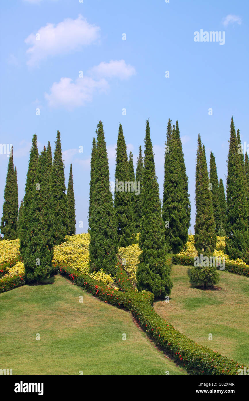 Cypress trees and flower beds in botanical garden Stock Photo - Alamy
