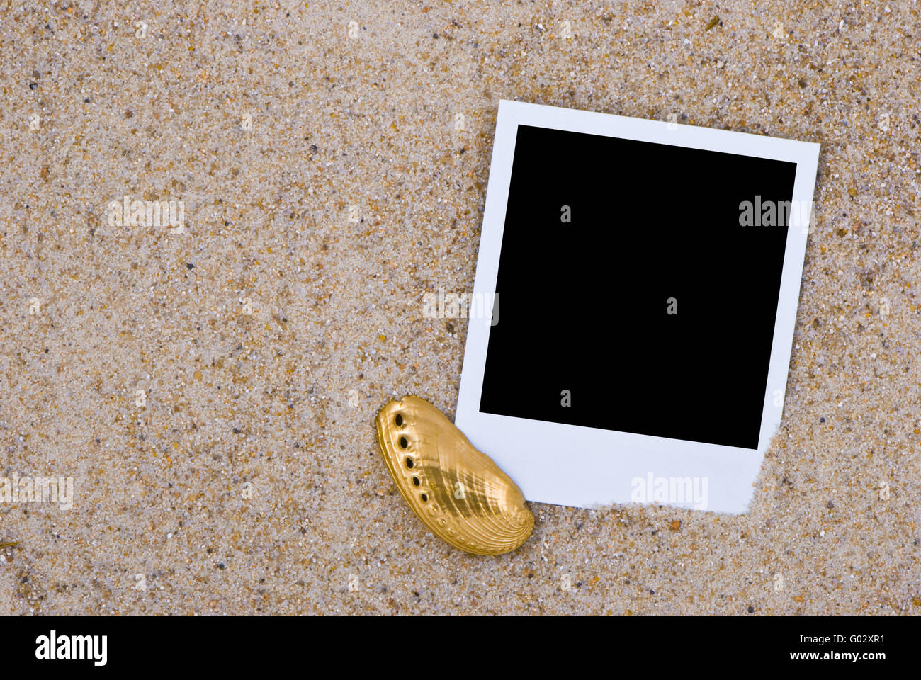 Photo frame with golden sea shells on sand background Stock Photo - Alamy
