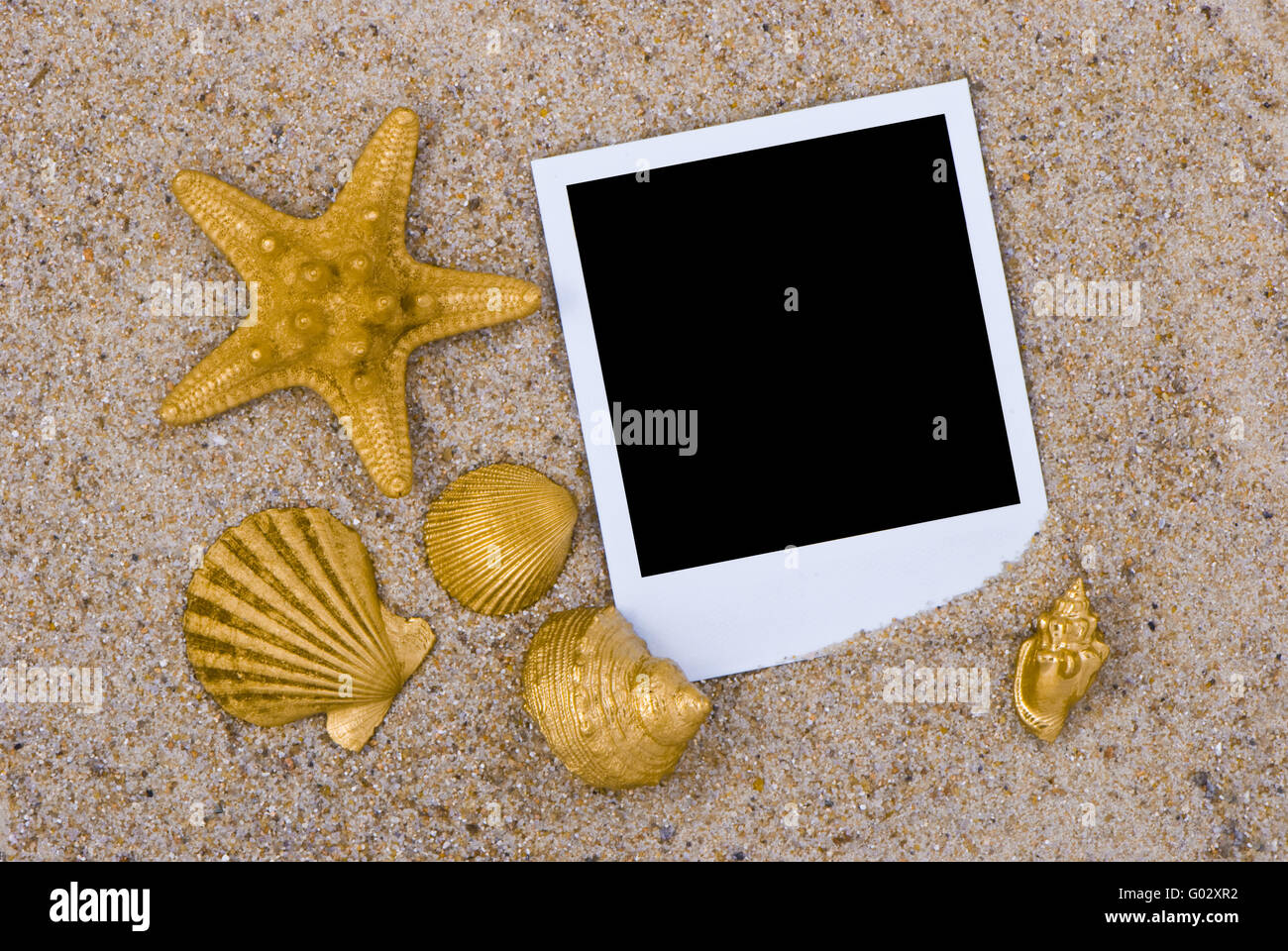 Photo frame with golden sea shells on sand background Stock Photo - Alamy