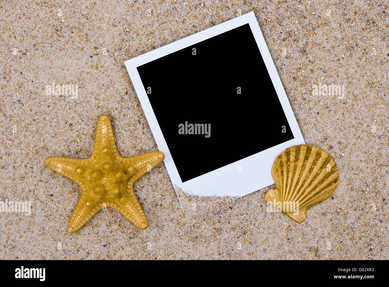 Photo frame with golden sea shells on sand background Stock Photo - Alamy