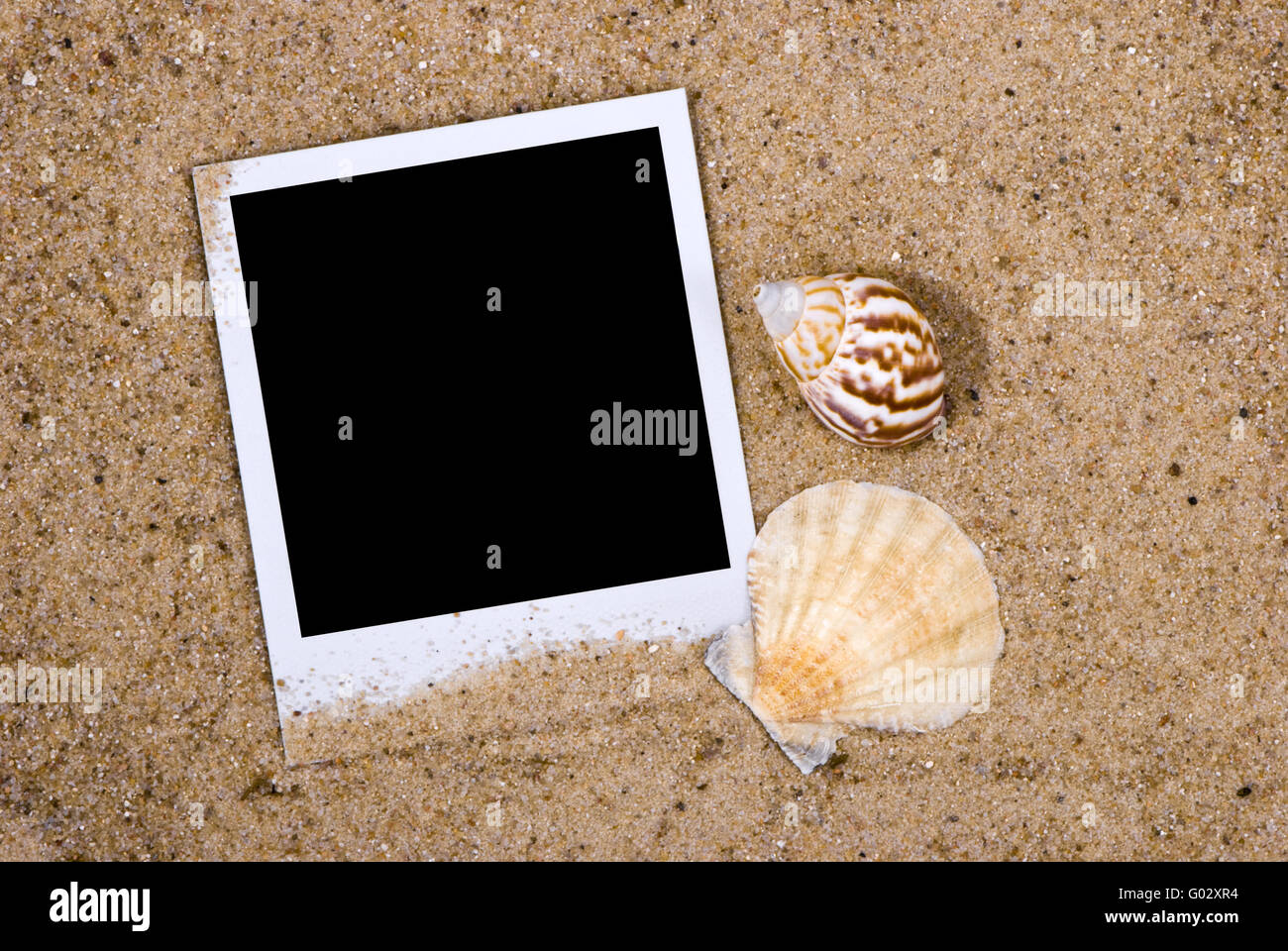 Photo frame with sea shells on sand background Stock Photo - Alamy