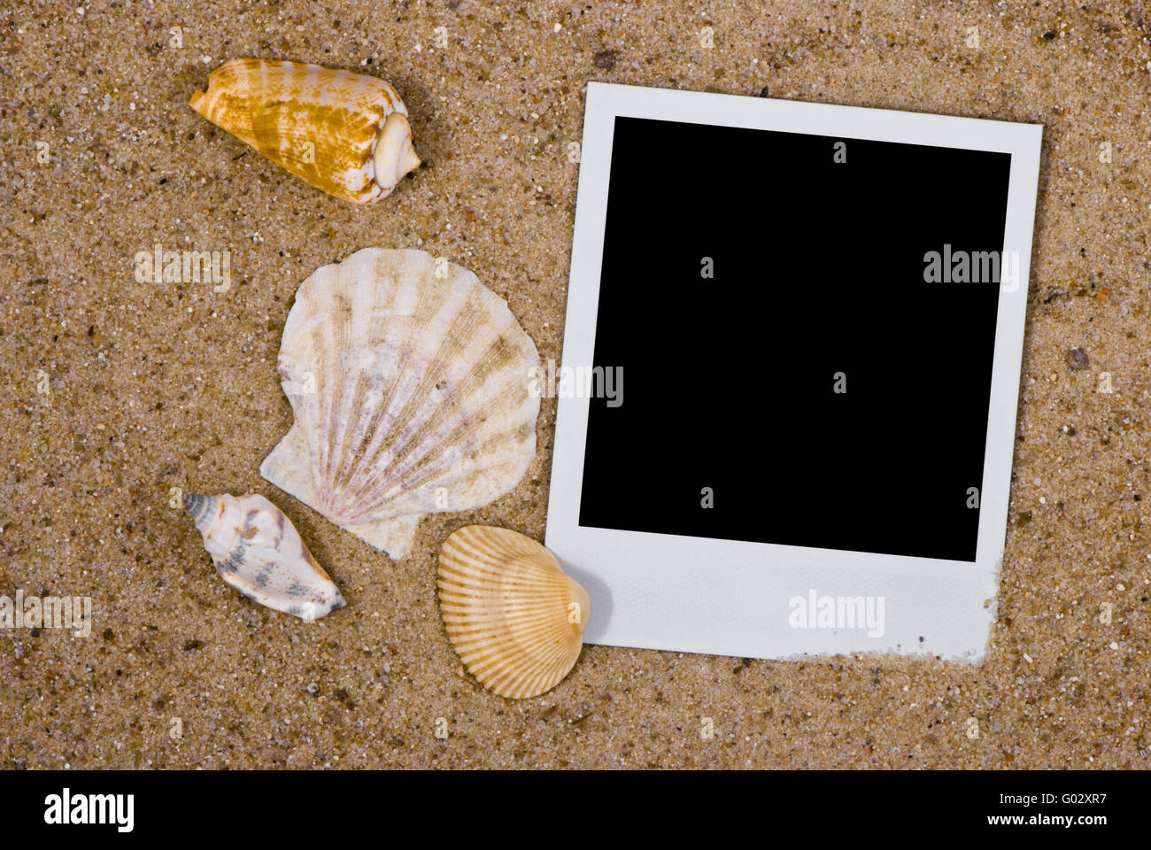 Photo frame with sea shells on sand background Stock Photo - Alamy