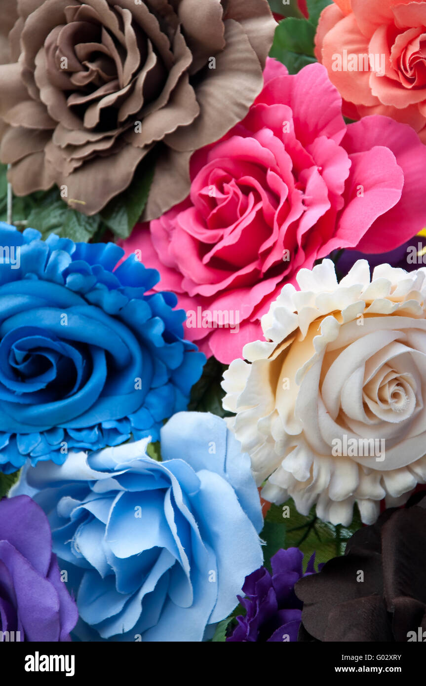 Gypsy blue flowers hi-res stock photography and images - Alamy