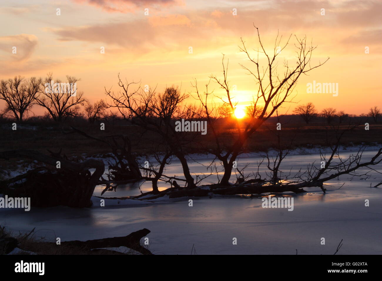 Dead_trees hi-res stock photography and images - Alamy