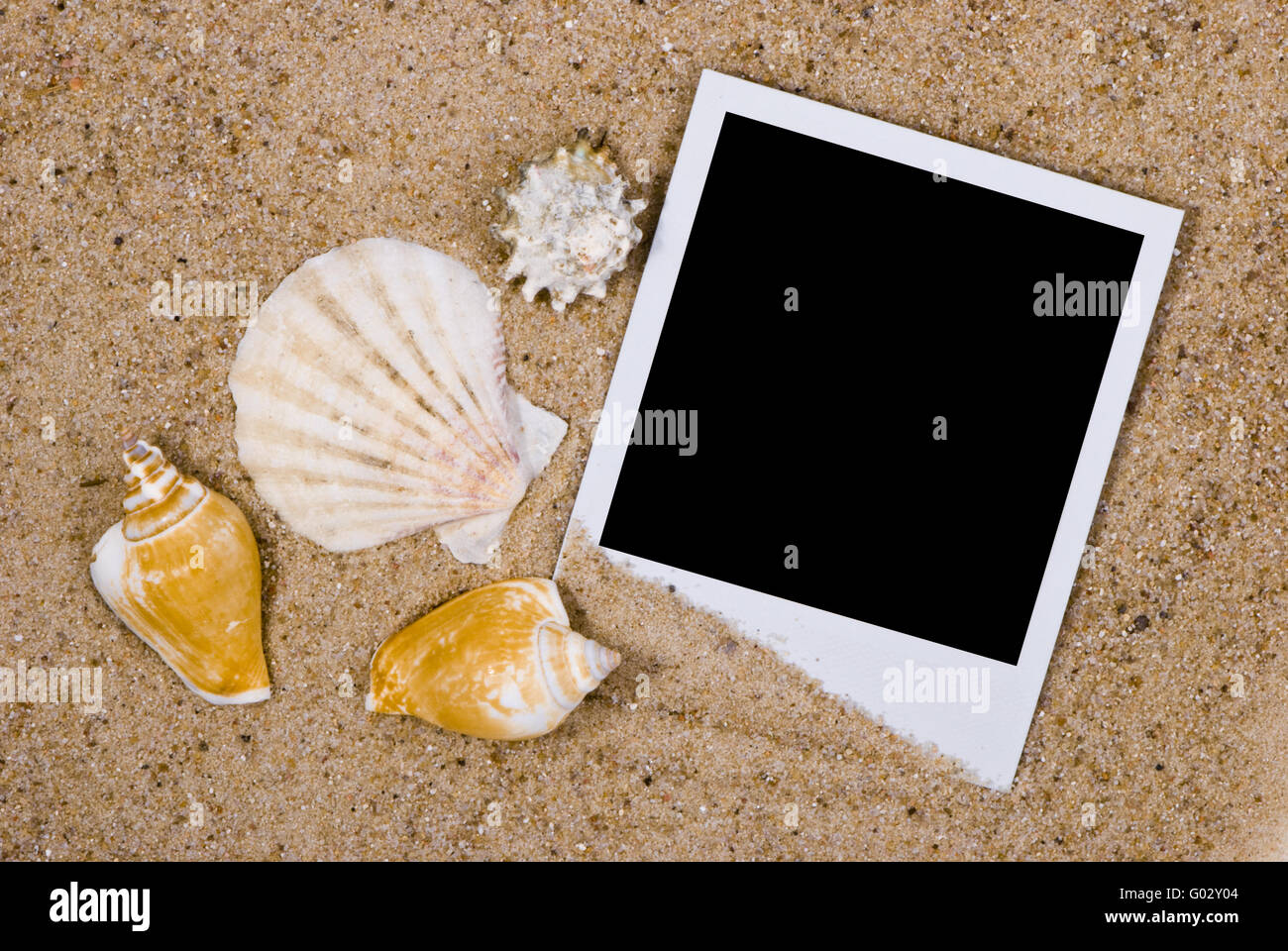 Photo frame with sea shells on sand background Stock Photo - Alamy