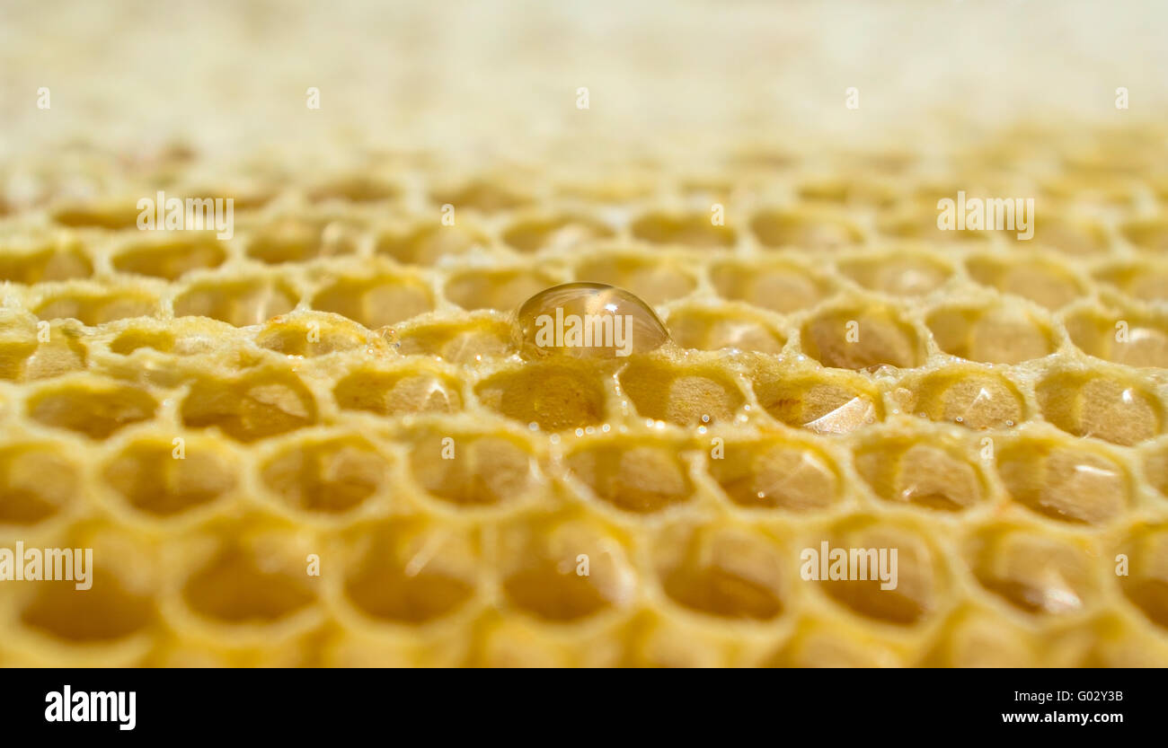 Honey drop hi-res stock photography and images - Alamy