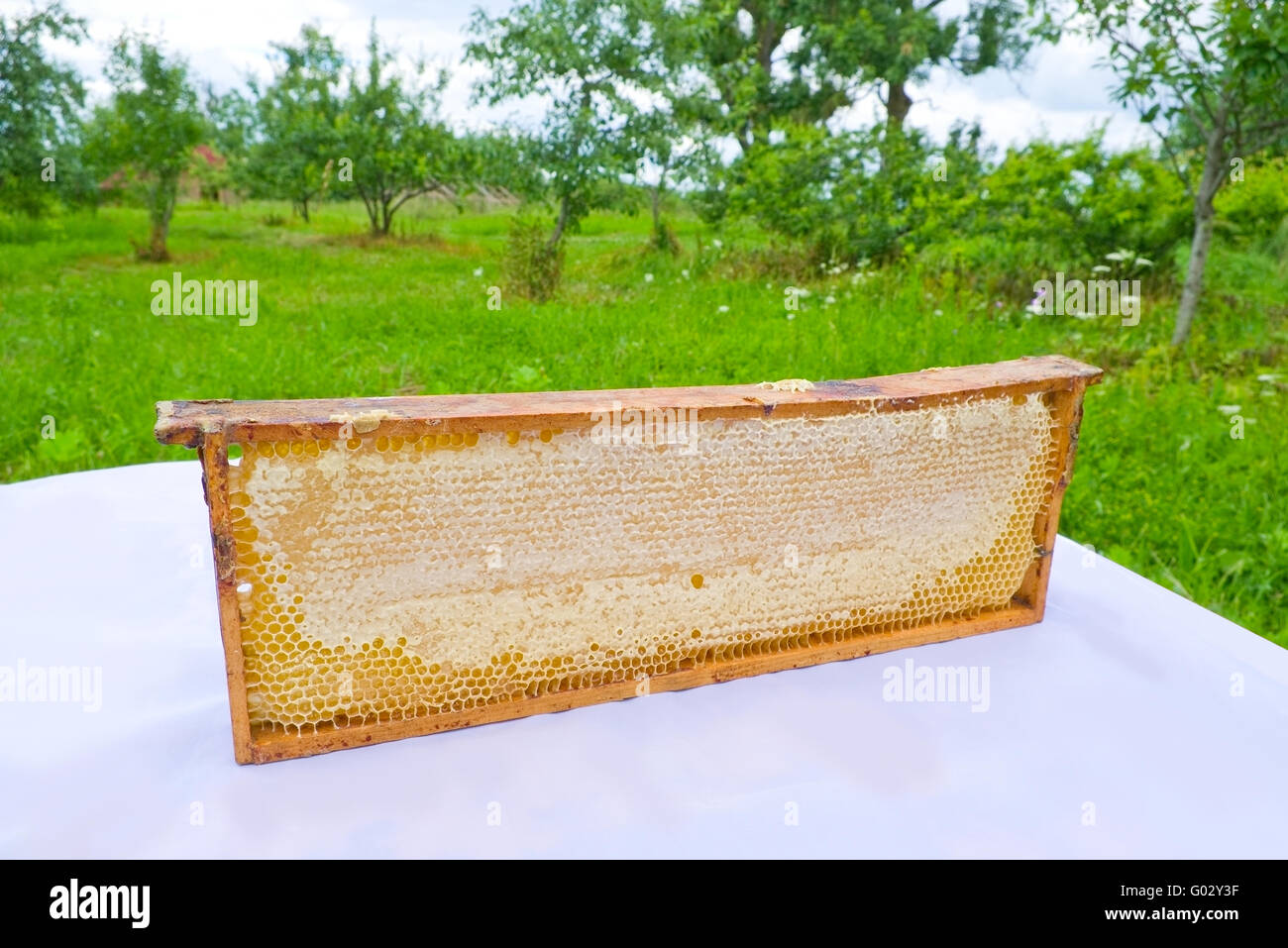 Frame of the sweet honey Stock Photo - Alamy