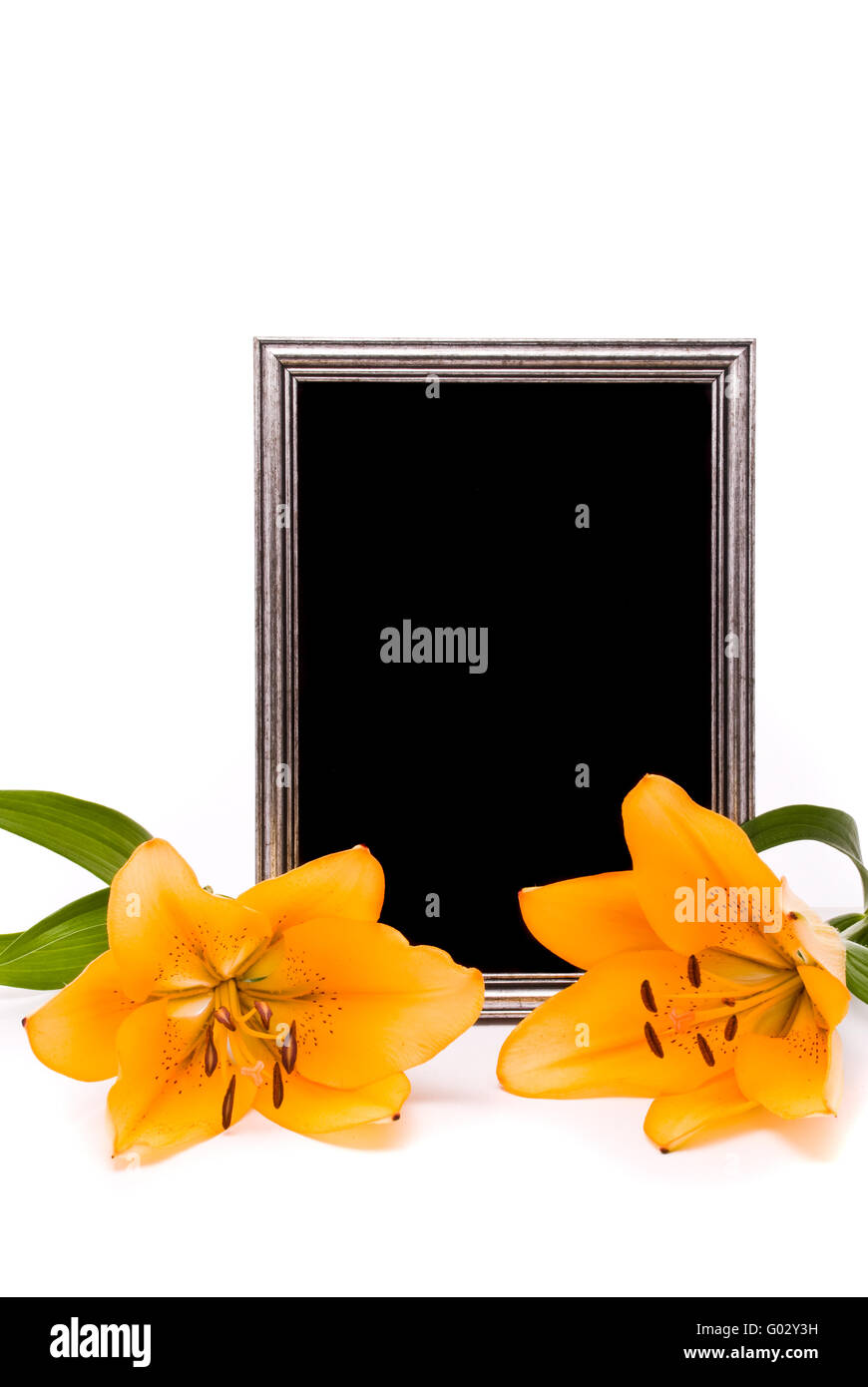 Yellow lilies and silver frame on a white background Stock Photo - Alamy