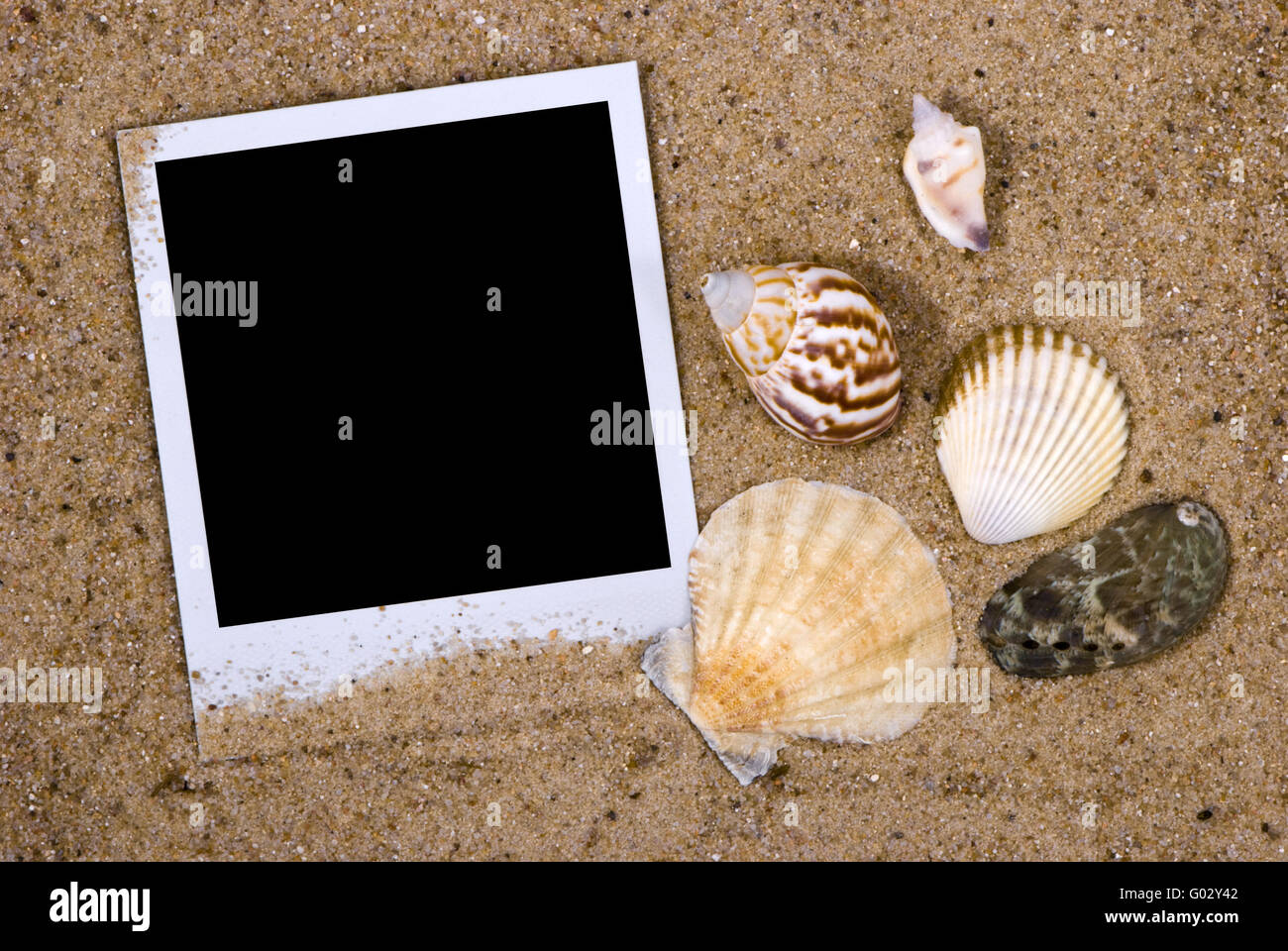 Photo frame with sea shells on sand background Stock Photo - Alamy