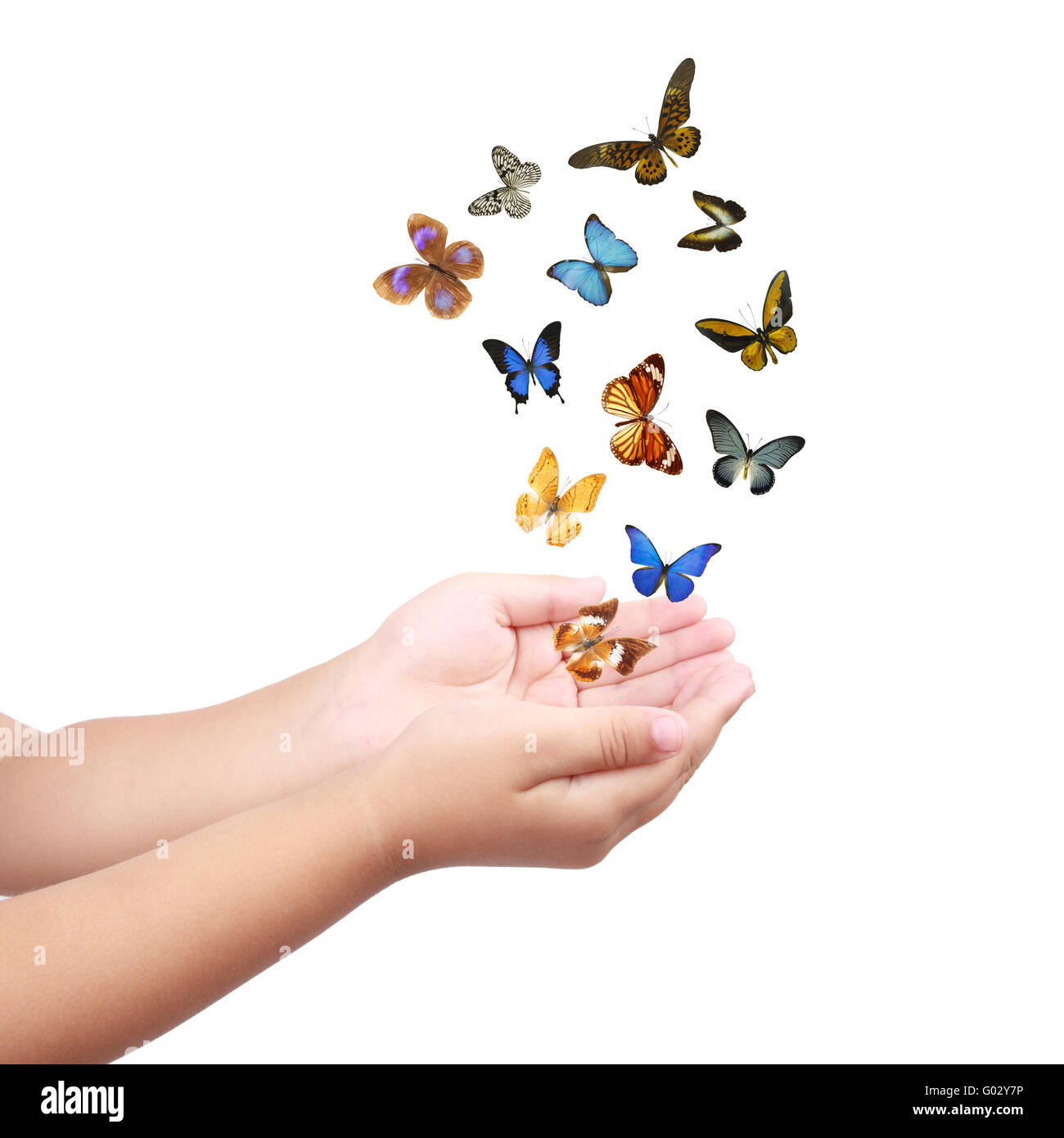 Butterflies Flying Out Of Hands