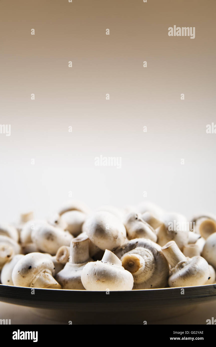 Fungal plates hi-res stock photography and images - Alamy