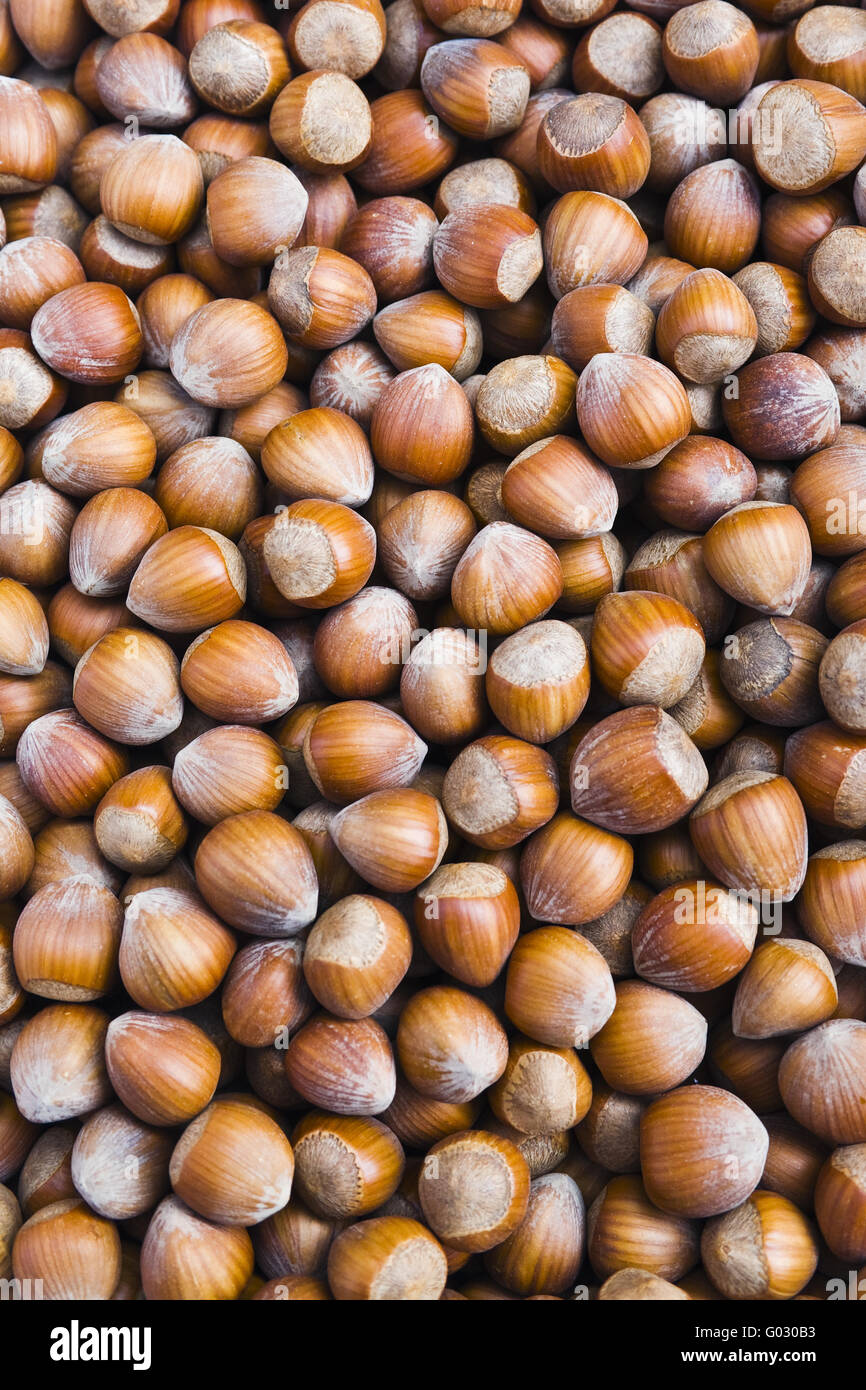 Hazel Structure High Resolution Stock Photography and Images - Alamy