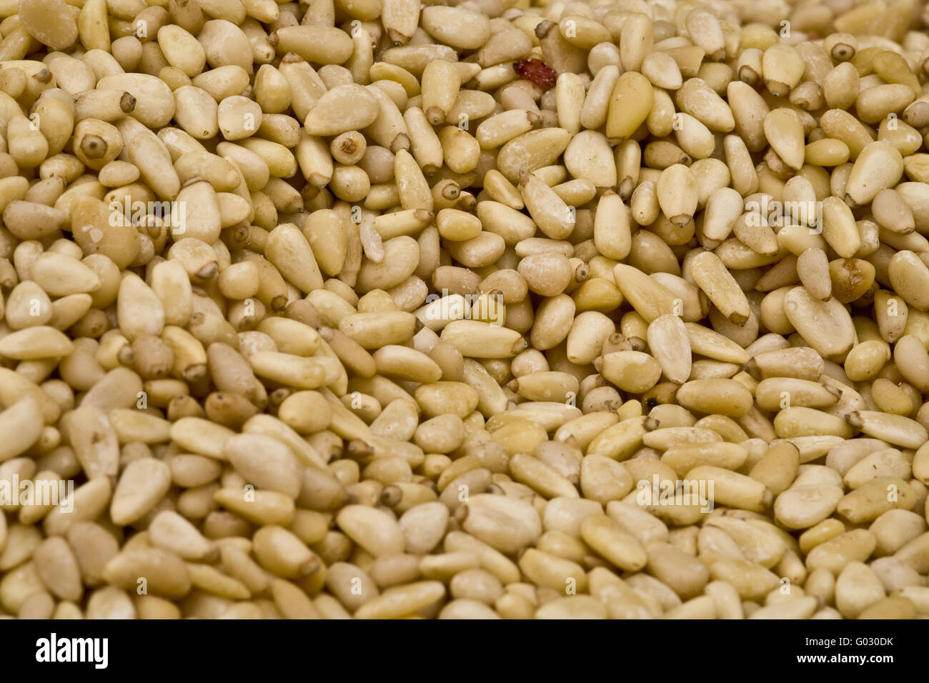 Pignolia hi-res stock photography and images - Alamy