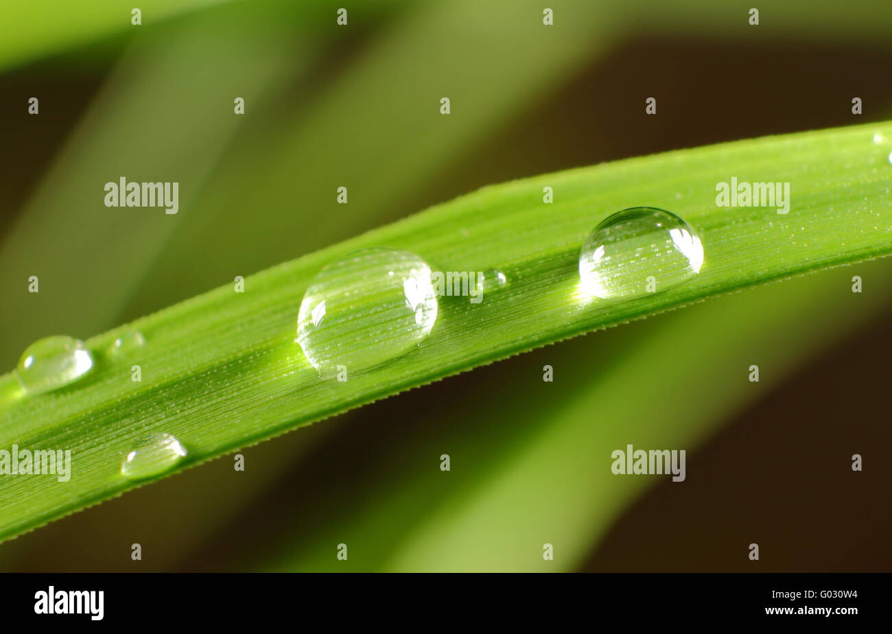 Wassertropfen Regentropfen High Resolution Stock Photography and Images ...