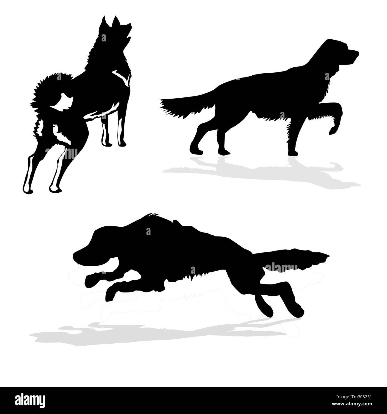 vector silhouette hunt dogs on white background Stock Photo - Alamy