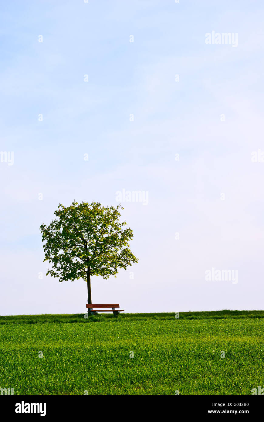 bench under tree Stock Photo - Alamy