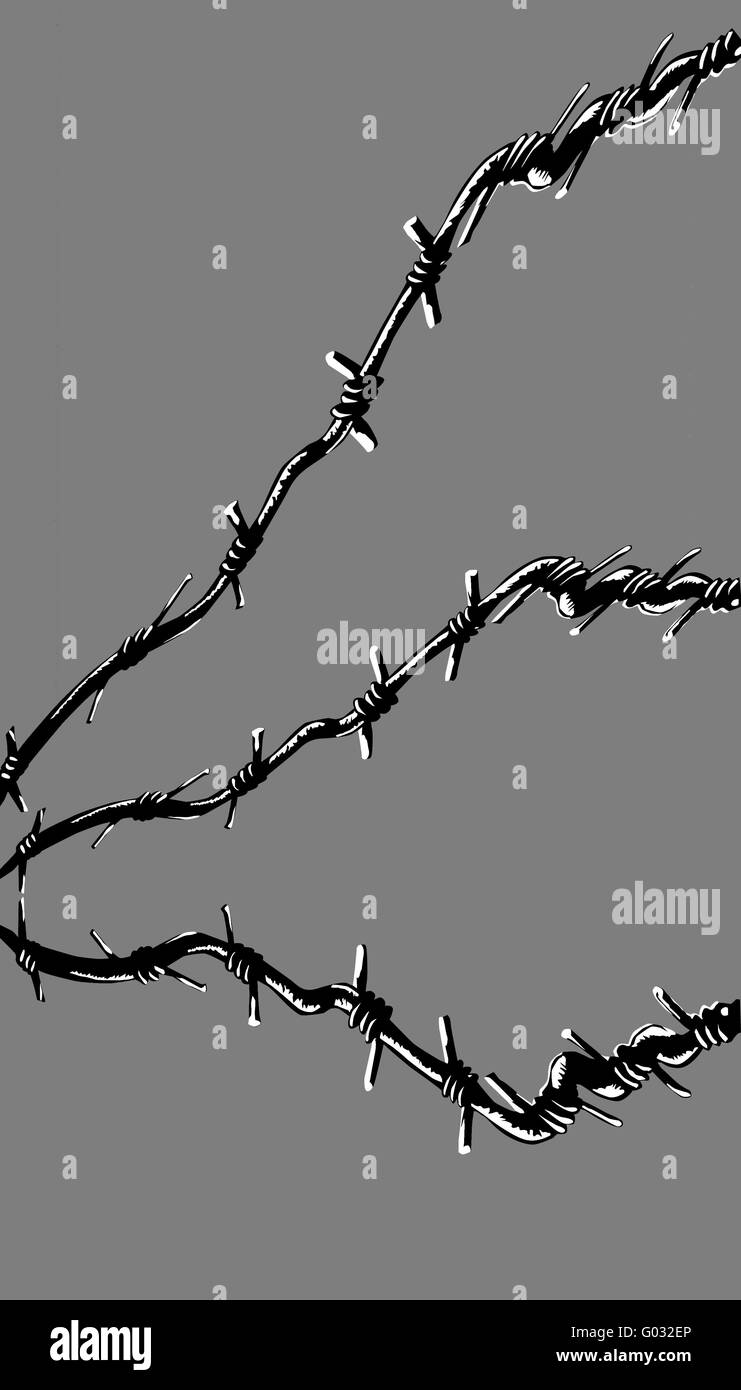 vector illustration of the barbed wire on gray background Stock Photo ...