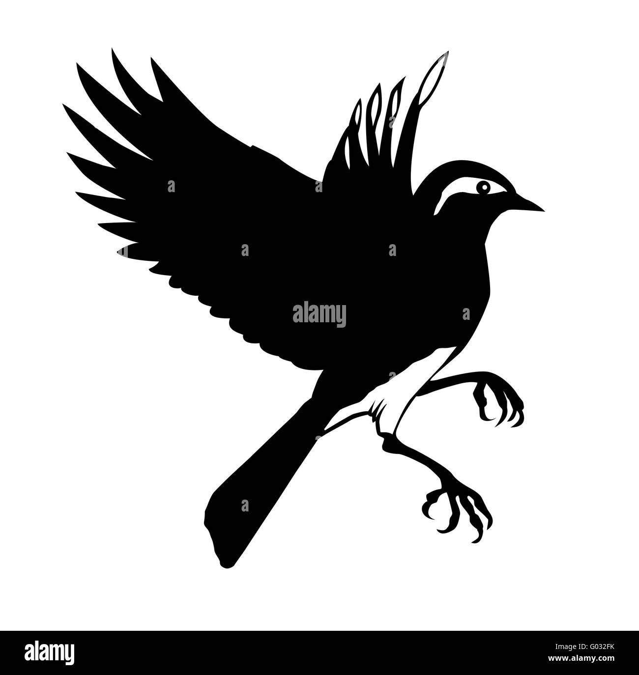 vector silhouette of the small bird on white background Stock Photo - Alamy