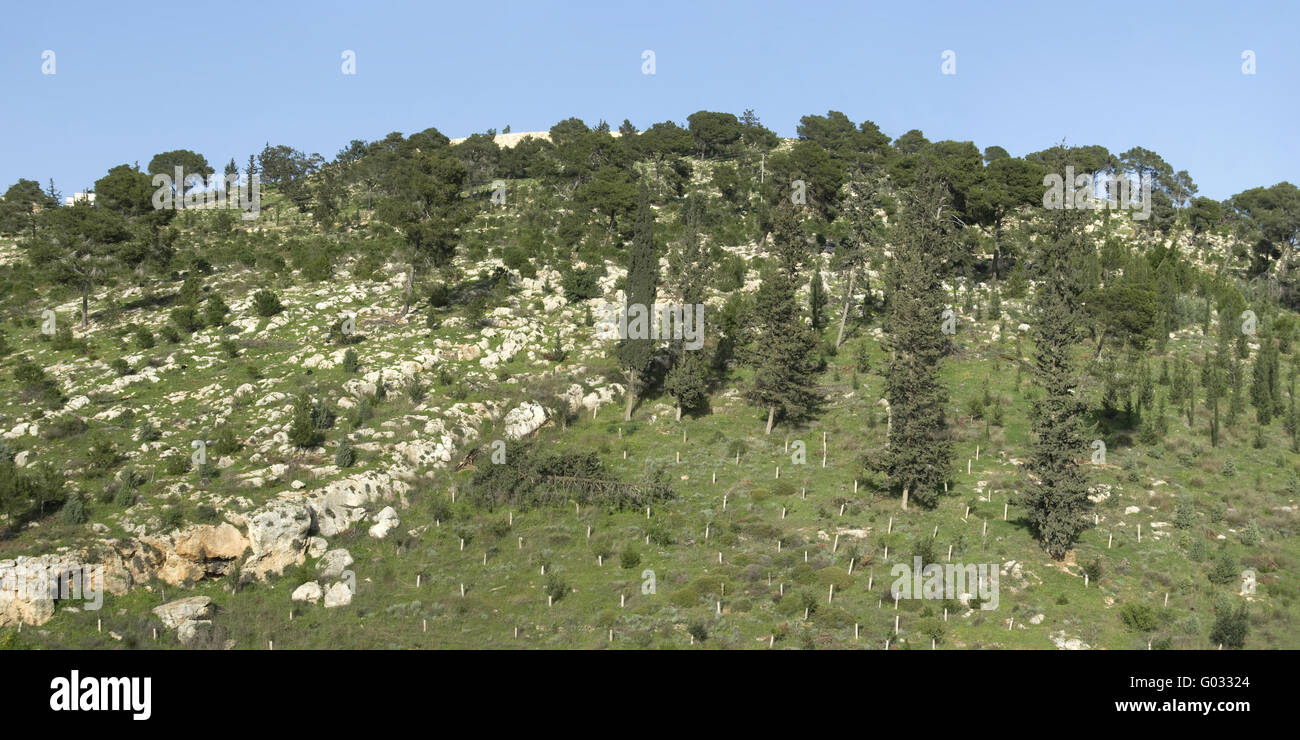 Hills of Nazareth Stock Photo - Alamy