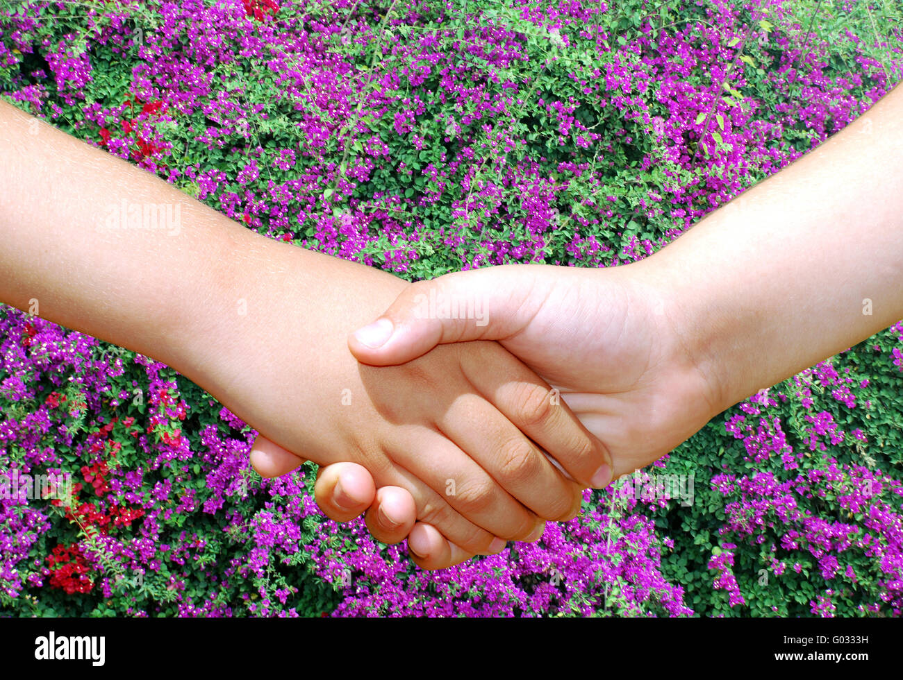 Children Shaking Hands Stock Photos & Children Shaking Hands Stock ...
