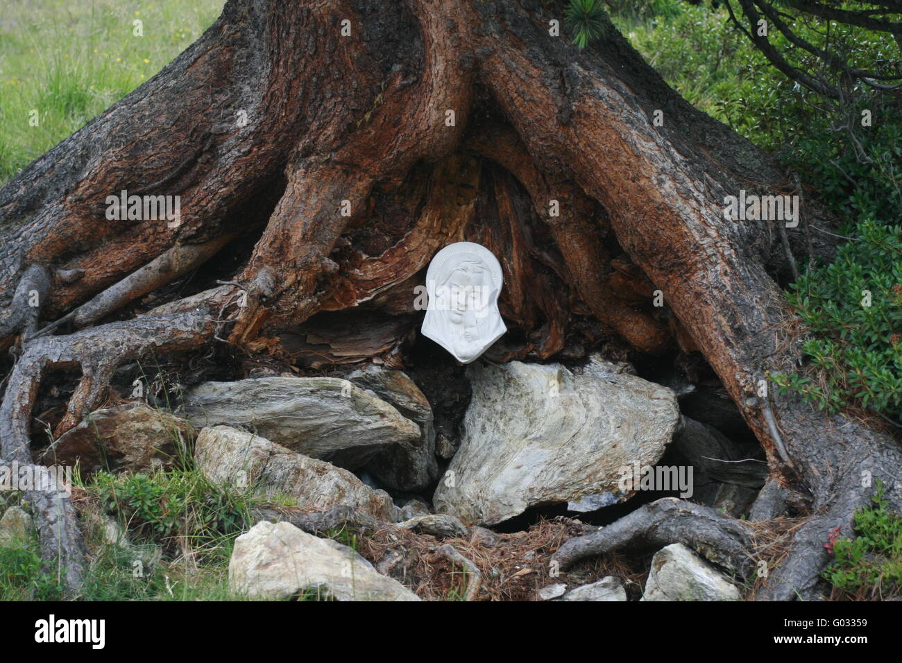 Mother of God in the tree Stock Photo - Alamy
