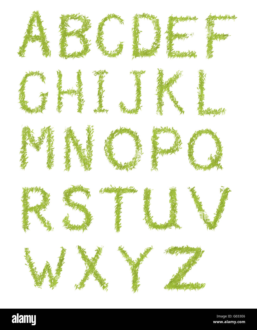 Evergreen grass Cut Out Stock Images & Pictures - Alamy