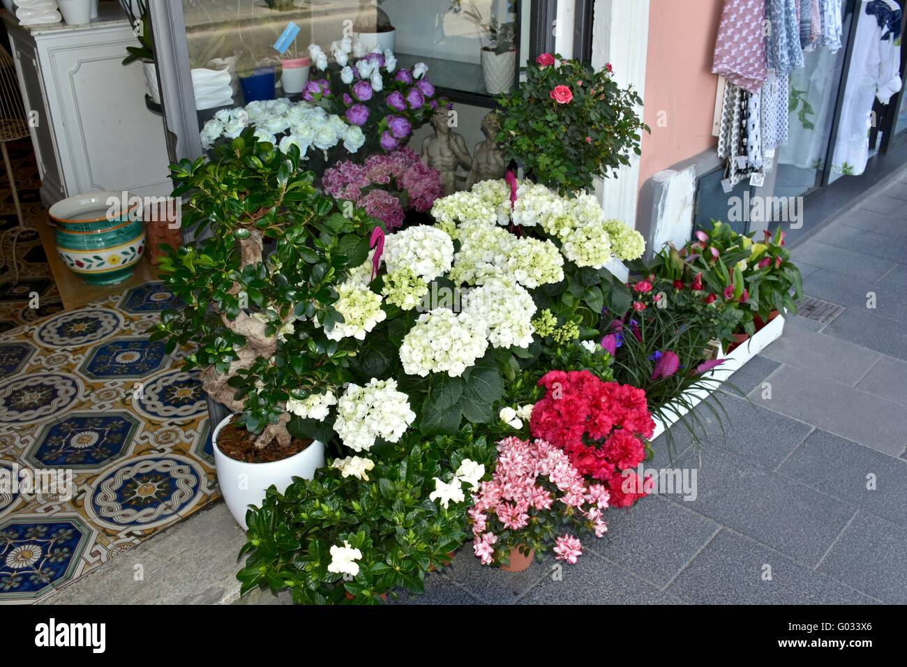Capri italy plants hi-res stock photography and images - Alamy