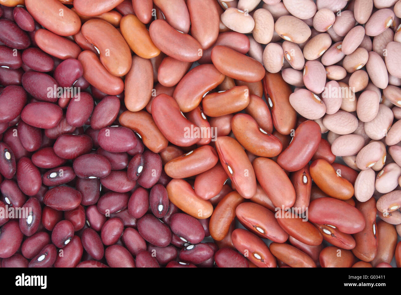 Three kind beans Stock Photo - Alamy